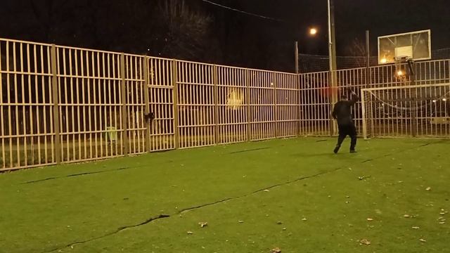 Тунбэй Тхипаоцзянь.