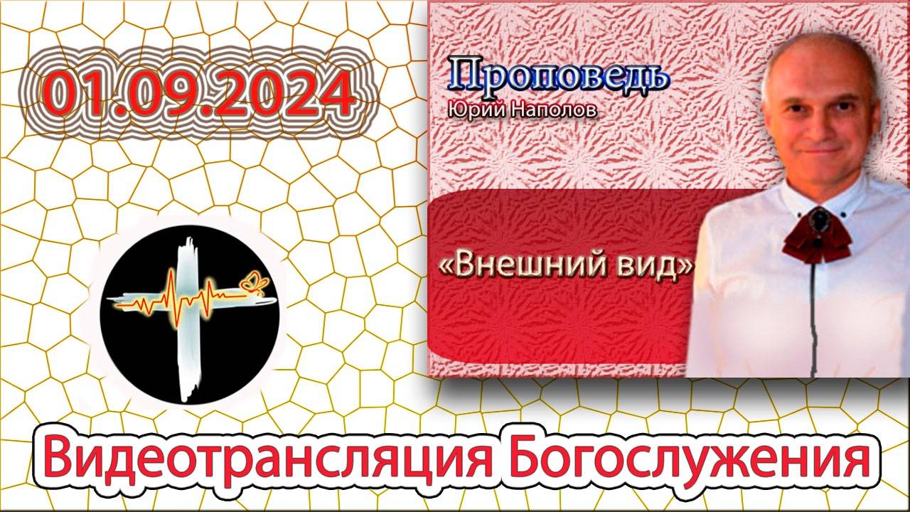 01.09.2024 Наполов Ю.Н. - Внешний вид