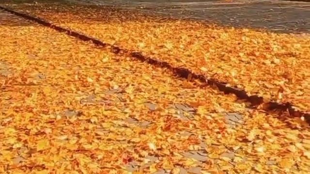 Эта осень - рыжеватая чудачка...красивая песня для души