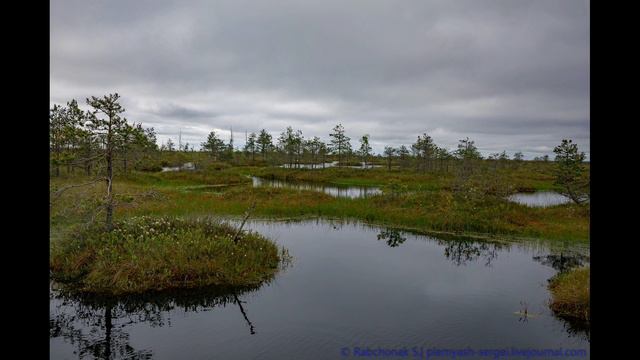 Звездный вечер...