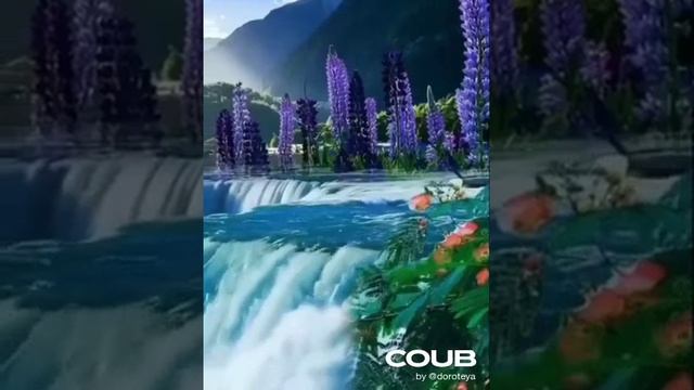 Отличная погода - повод для видео)