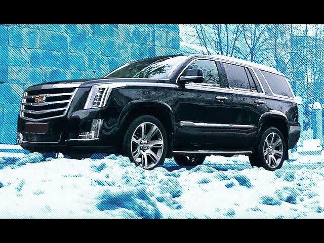 На чём ездит режиссёр Алексей Голубев