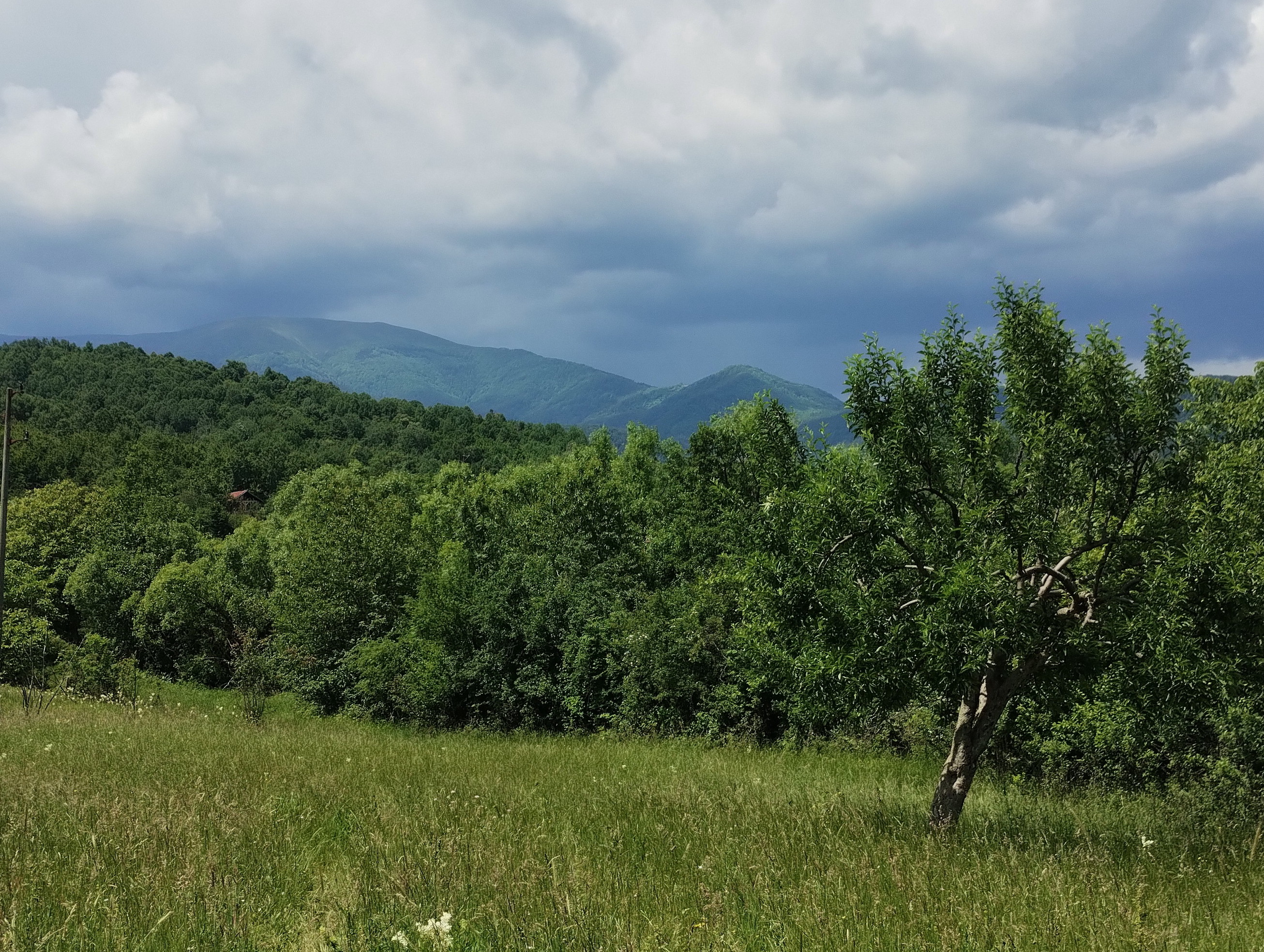 ПО СТЪПКИТЕ НА Г-Н ПЕТКОВ /част 50/. Враца - Монтана