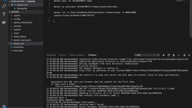 КАК УСТАНАВЛИВАТЬ БИБЛИОТЕКИ ► Docker для Data Science #7