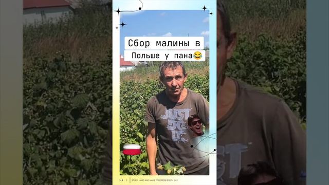 Собирали малину в Польше?