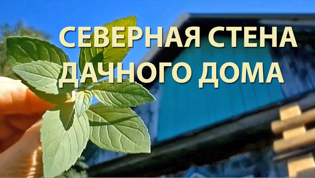 15-23 июля 2021 фасадные работы.mp4