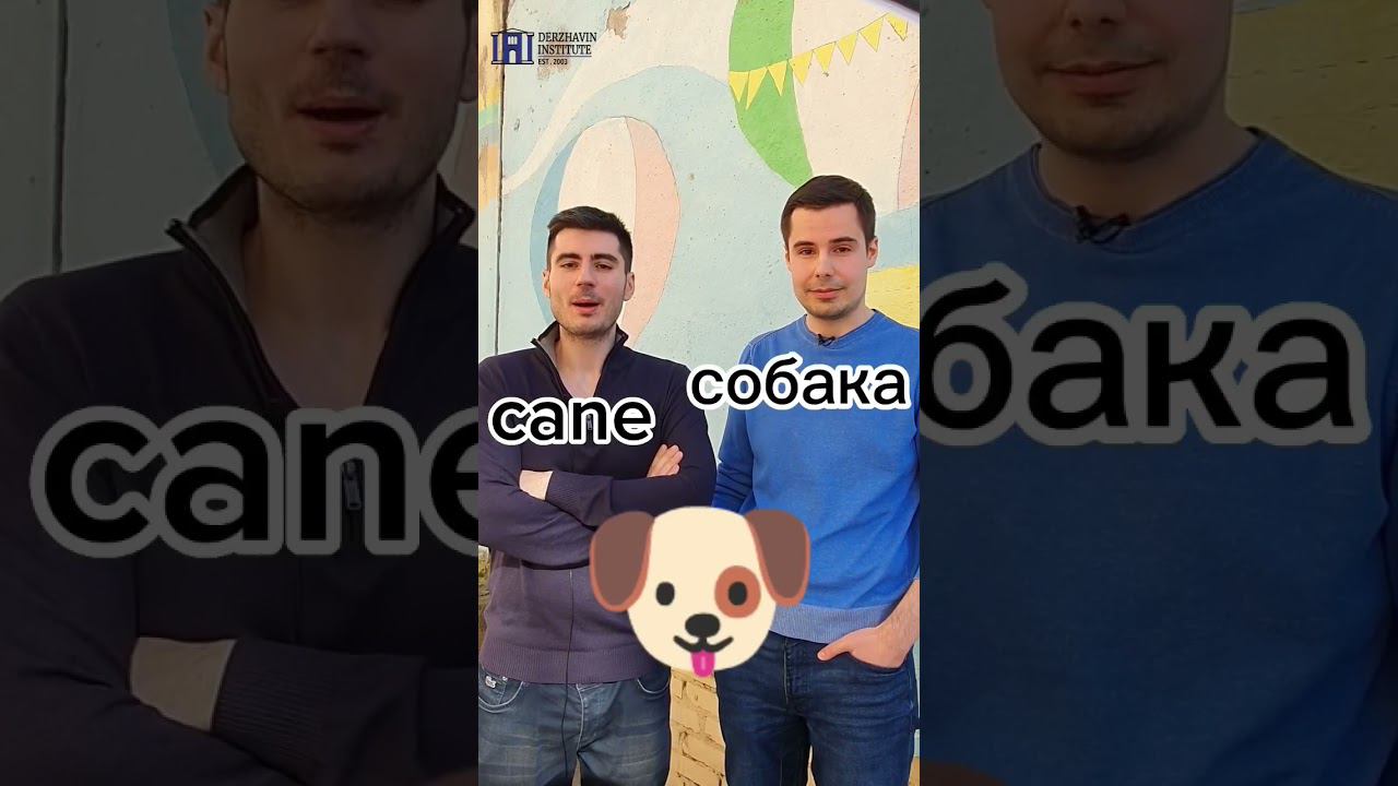 Назови животных по-итальянски!#итальянский #animali #vocabulary