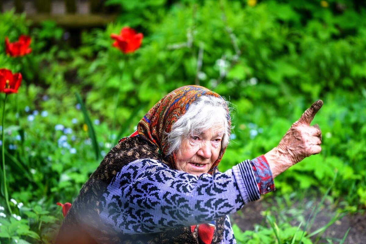 3 горсти под куст томата. Помощь в завязывании и увеличивании урожая до 2 раз. Подкормка из скорлупы