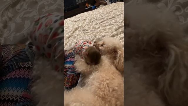 мама сказала в лоб давать...