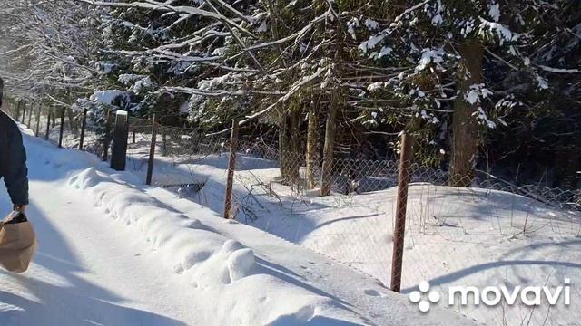 дорога обратно домой с дачи