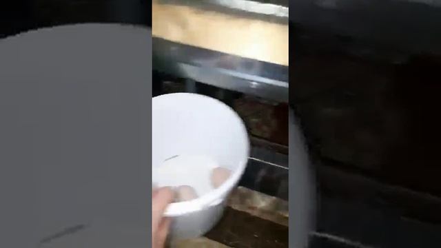 Обзор фермерского птичника в Крыму от фермера