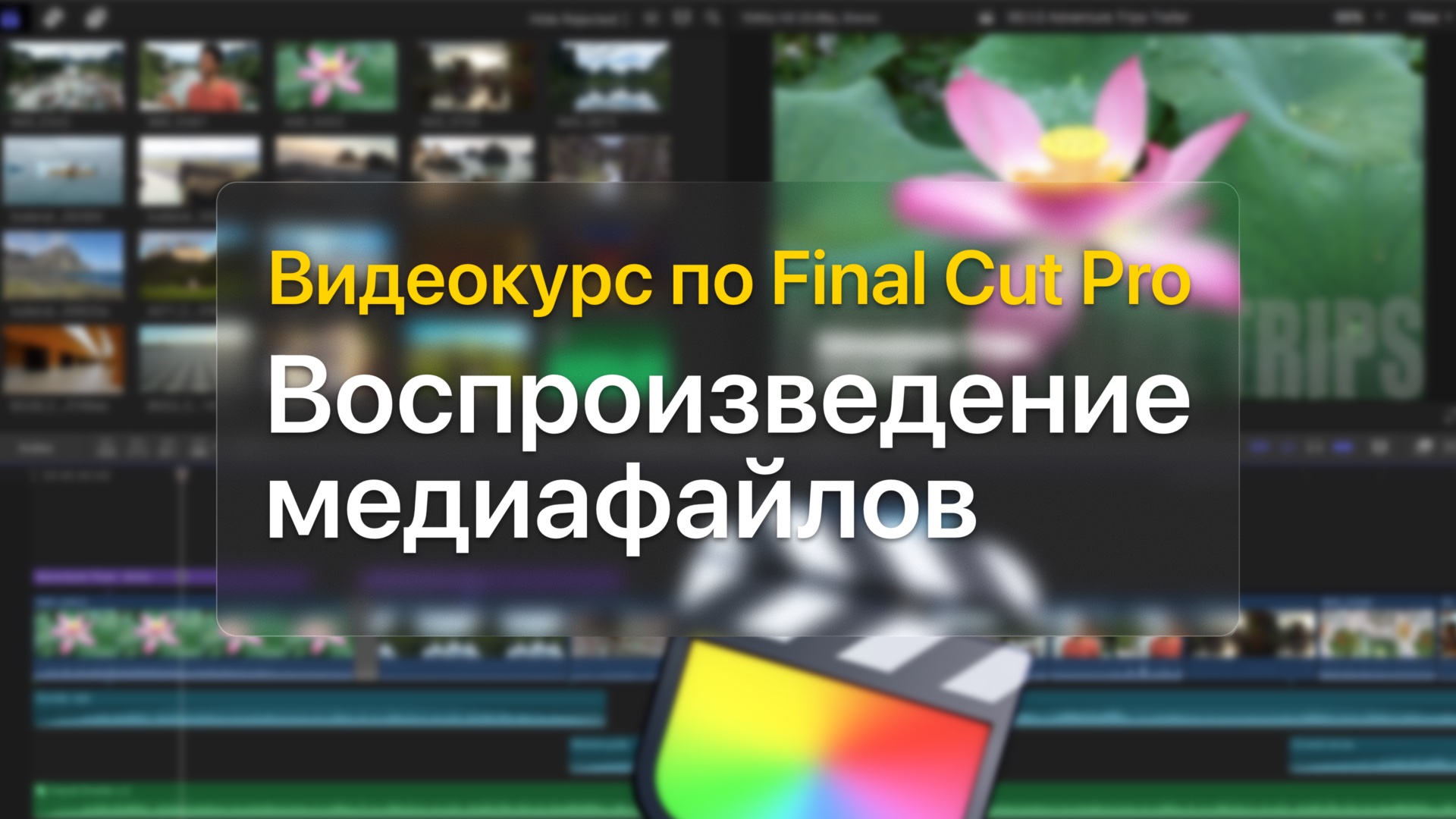 ⏯️ Воспроизведение медиафайлов — курс уроков по Final Cut Pro