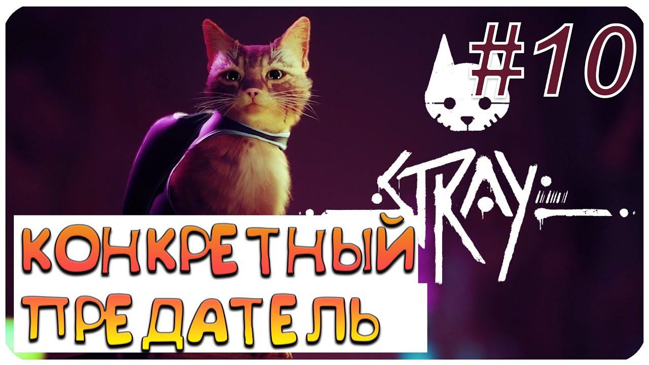 Stray ▶ ПРЕДАТЕЛЬ МИРА РОБОТОВ #10