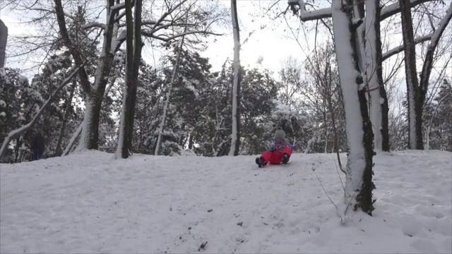 beehive1-culture-video-unit-3