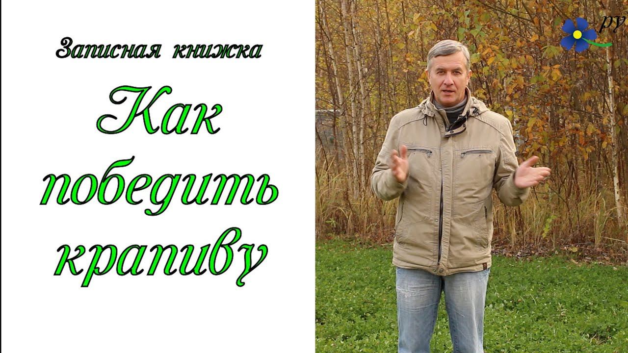 Как избавиться от крапивы