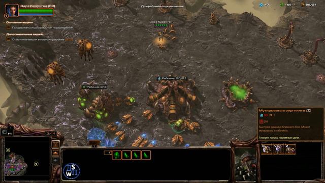 StarCraft II: Встреча!