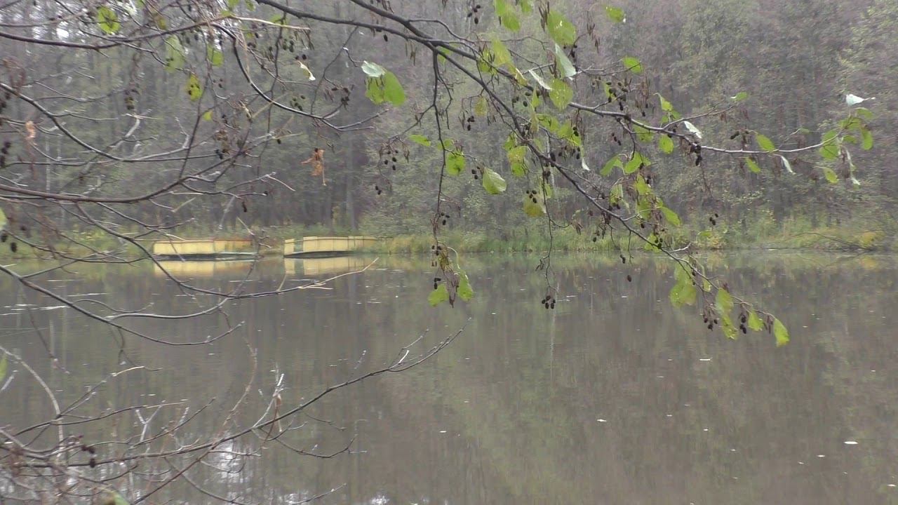 Прогулка к дому отдыха  Новая Ляда 2018  Тамбов.