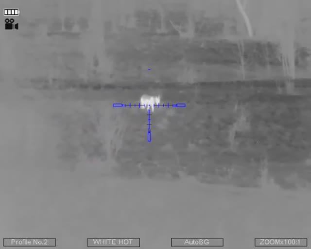 Охота на волка 1