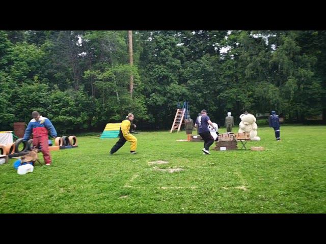 АПС-3, фрагмент выступления(2)АТТЕСТАЦИЯ ПРИКЛАДНЫХ СОБАК