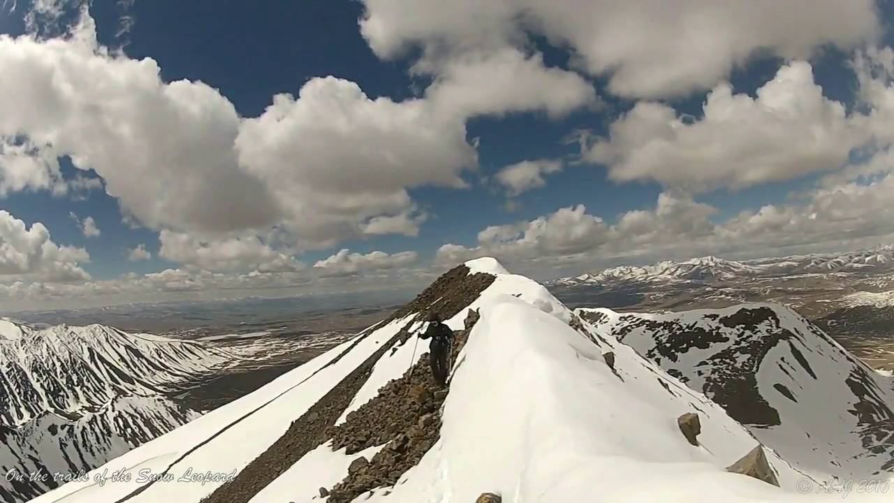 О прохождении волонтёрской экспедиции "По следам снежного барса". Май 2016 года
