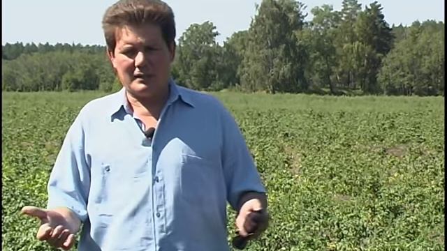 фермеры России _ Russian Fermers