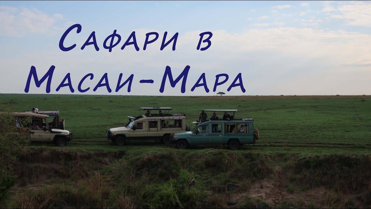 Сафари в Масаи-Мара   Safari in Masai Mara
