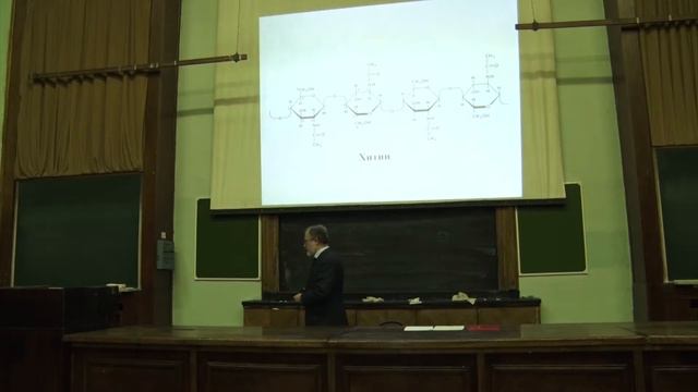Асеев В. В. - Основы биохимии - Полисахариды в организмах