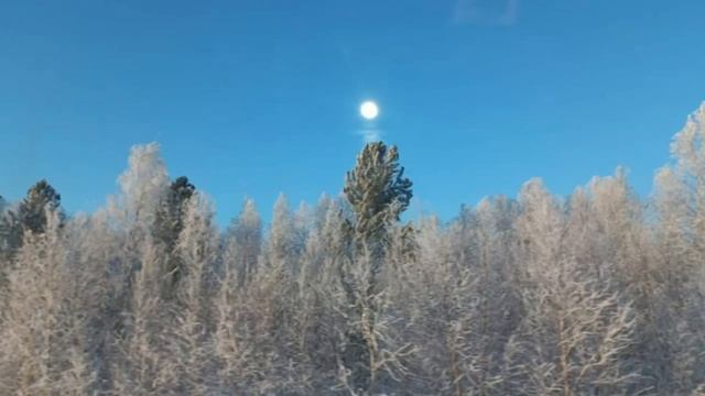 авторское стихотворение "Наш ЯМАЛ"  
читает автор Мисник Ольги Алексеевны