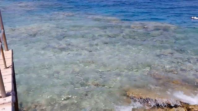 Самое,самое...