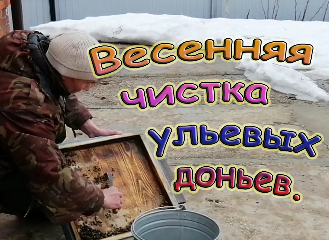 Весенняя чистка ульевых доньев.