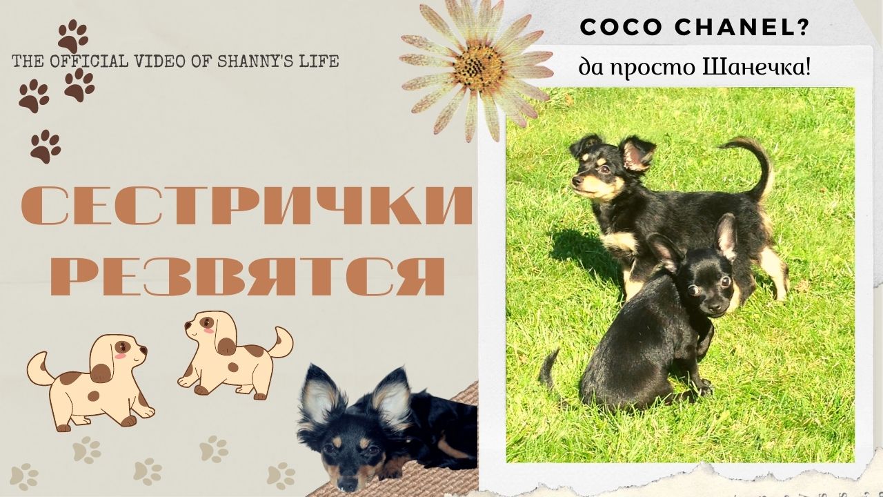 Сестрички резвятся