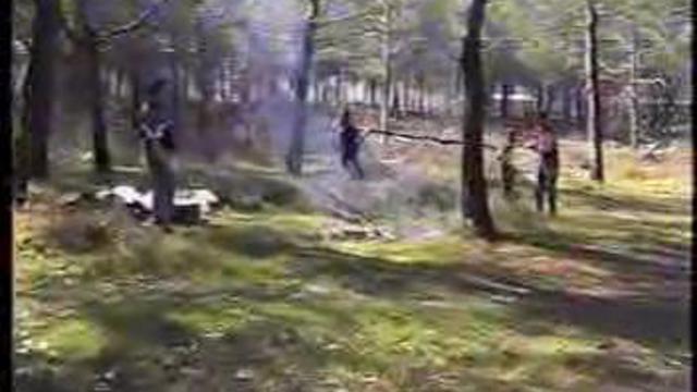 собачьи шашлыки