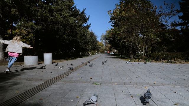 Пойдем гулять?