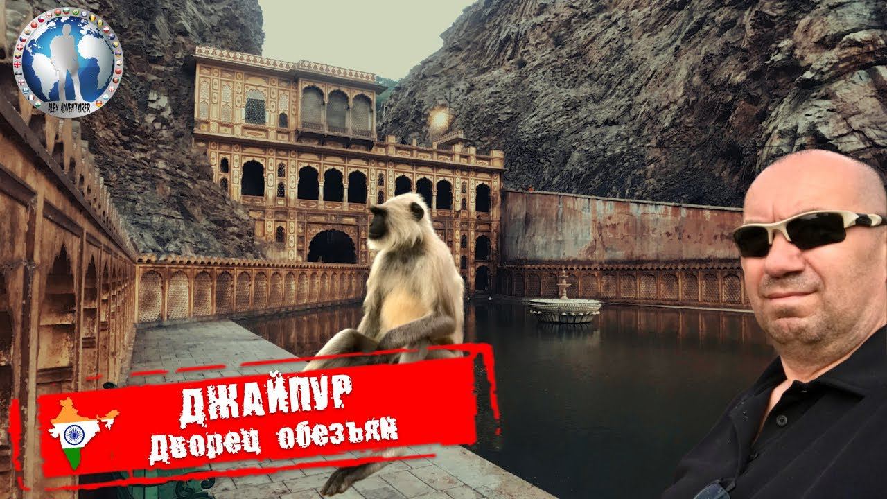 Джайпур 🇮🇳 Индия. Храм обезьян Галтаджи. Это невероятно 💯Алекс Авантюрист