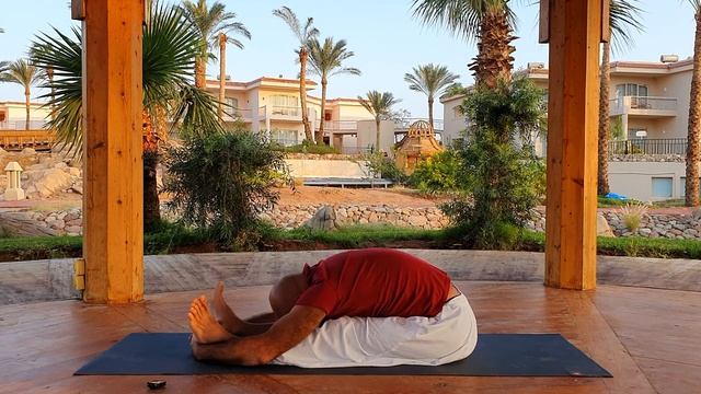 Пашчимоттанасана | Отстройка асан | Йога для начинающих