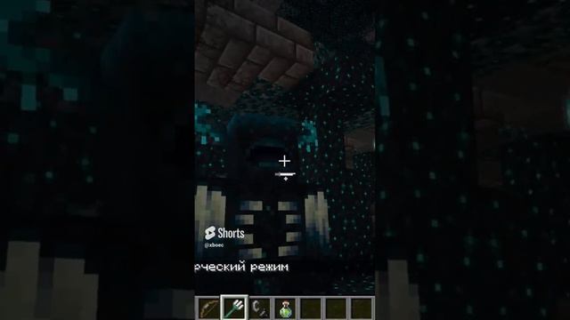 #команда tick freeze в майнкрафт#майнкрафт#варден