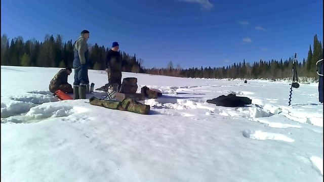 Шашлычок под коньячок.Рыбалка СевераГуляем.Шутка.