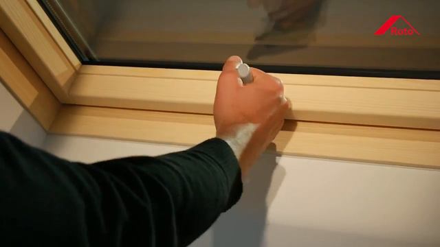 Функции окна Roto Designo R4