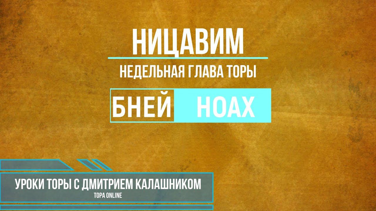 Недельная глава ТОРЫ "НИЦАВИМ", книга "ДВАРИМ" (Второзаконие) 5780