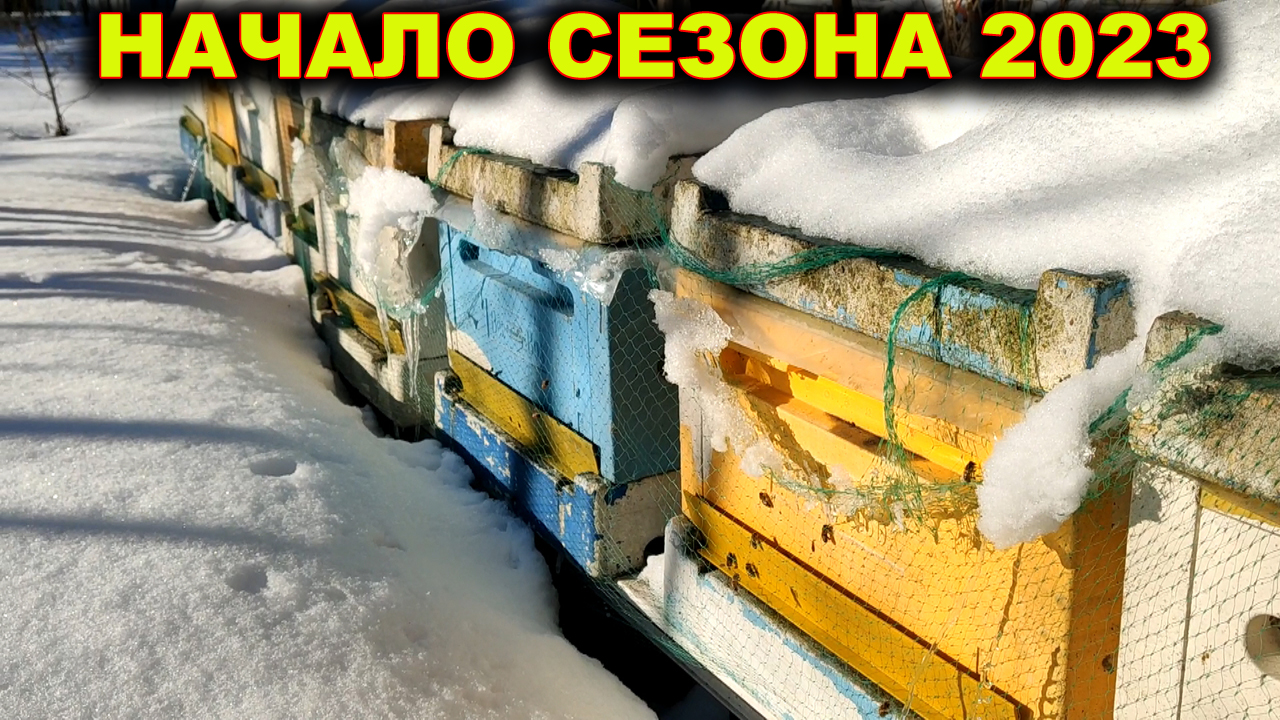 Март на пасеке СПб.