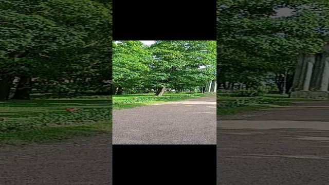 Гатчина , Гатчинский парк