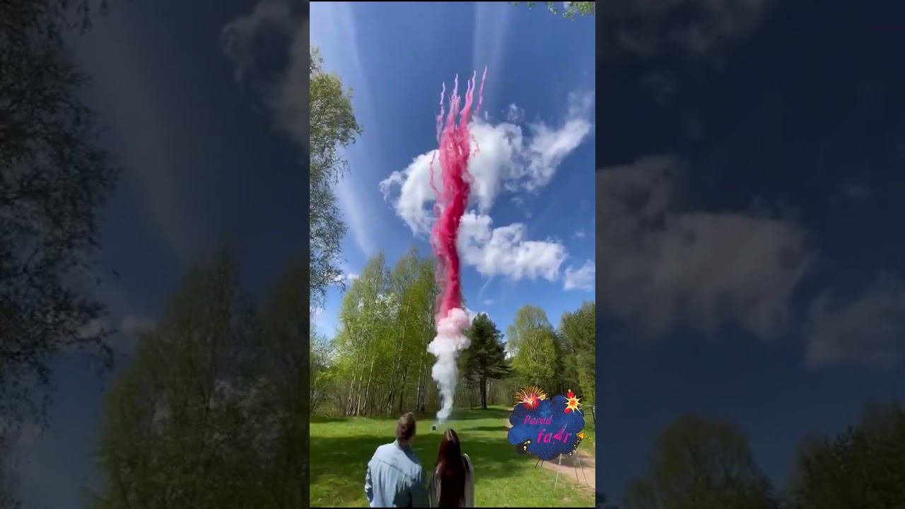 Дневной салют для Гендер пати от Parad fair.