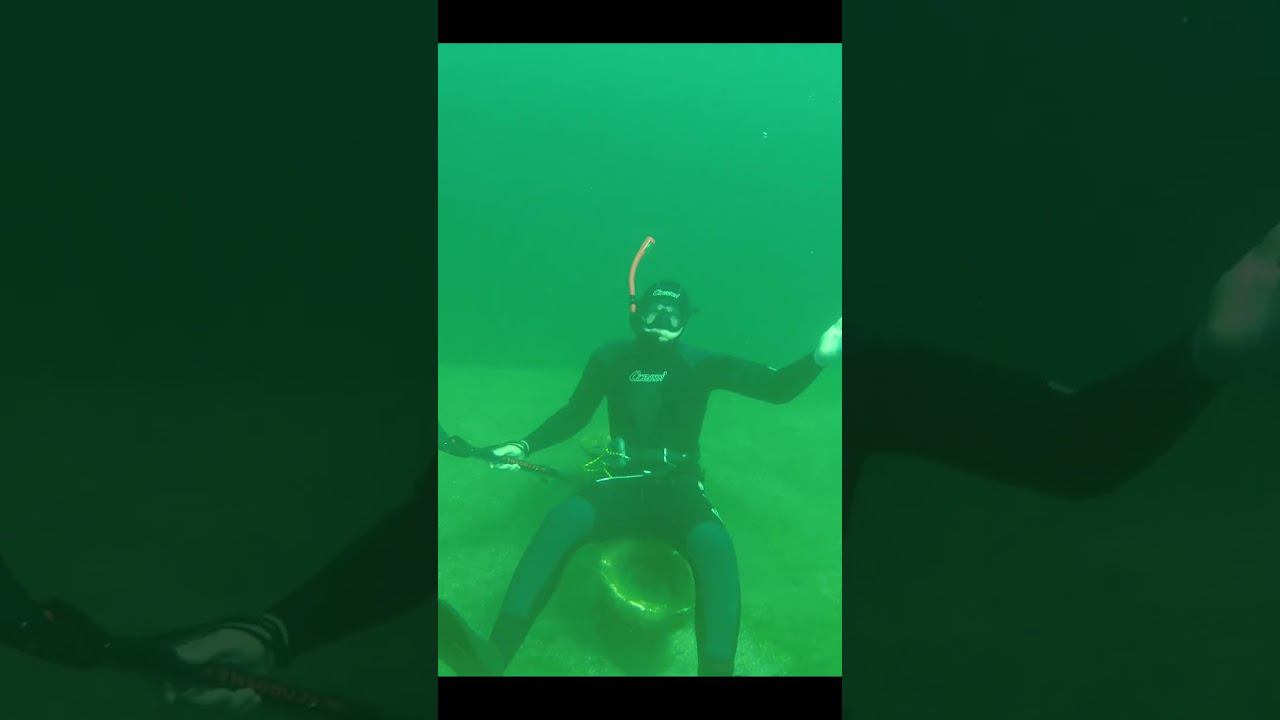 Подводные туалеты на Синявинском карьере #калининградскаяобласти #подводнаяохота #подводныймир