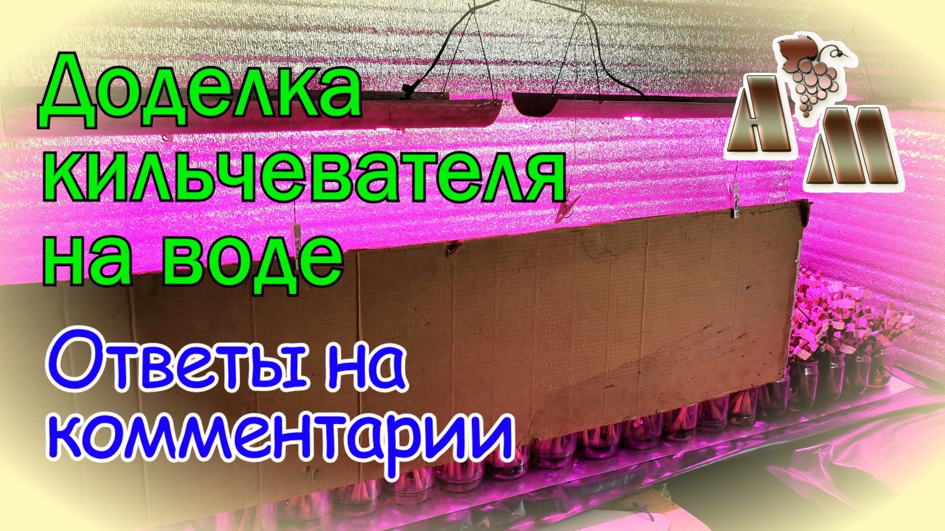 ? Доделка кильчевателя черенков винограда на воде