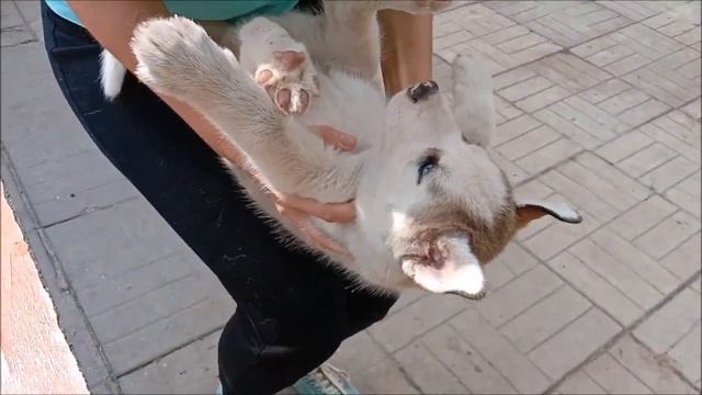 Стажёры испытательного отдела 2