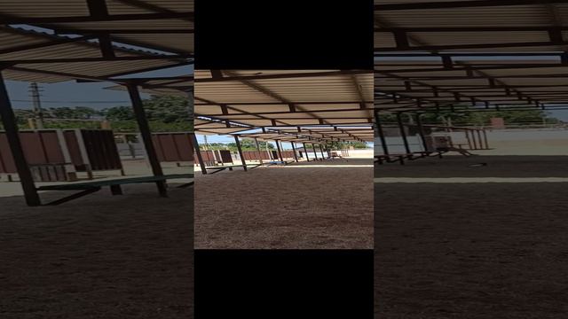 Море в Феодосии, сезон открыт