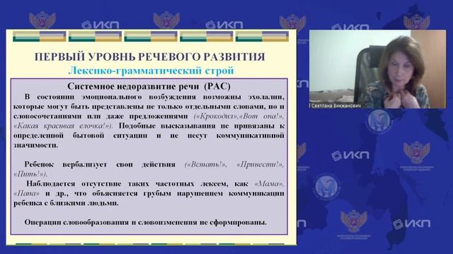 IV Всероссийский съезд дефектологов. Лекция №2