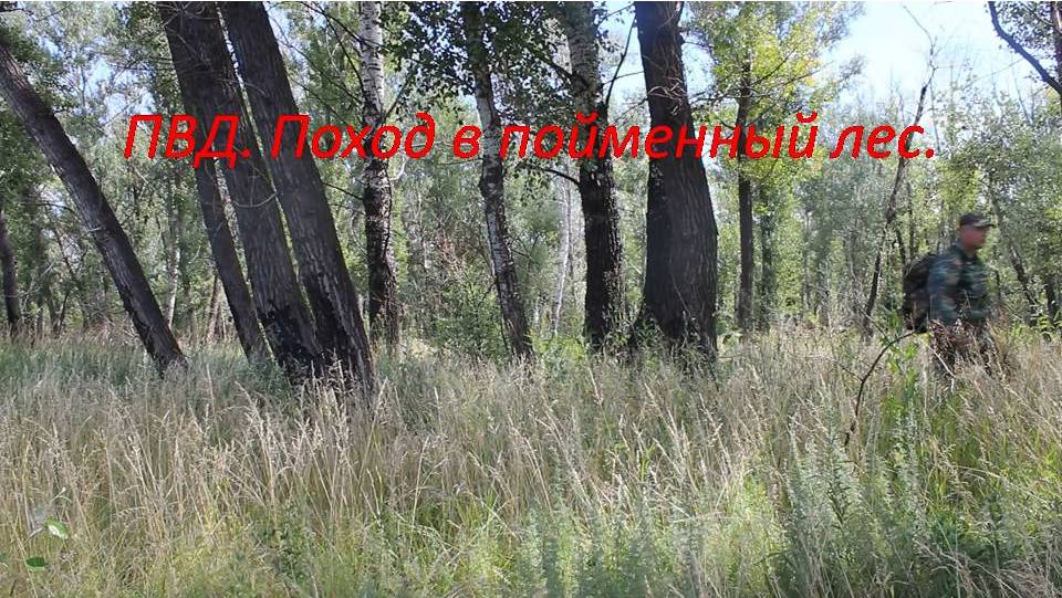 ПВД.  Поход в пойменный лес.  Шиповник.