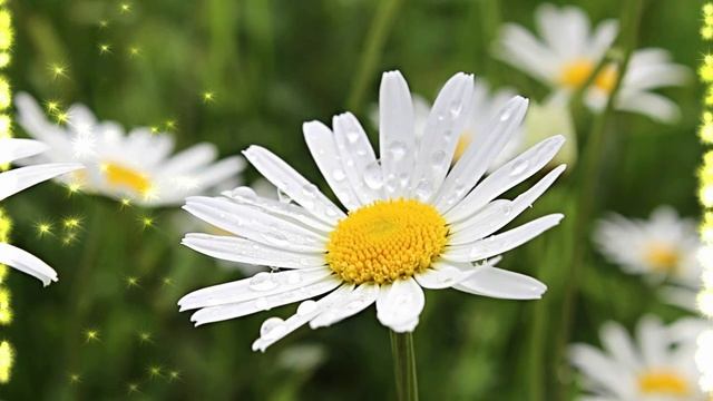 ДОБРОЕ УТРО?СЧАСТЛИВОГО ДНЯ???ОЧЕНЬ НЕЖНОЕ ПОЖЕЛАНИЕ С Доб