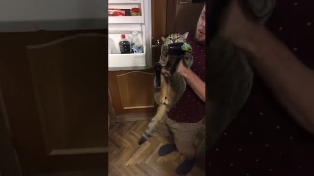 VID_20221218_210252_949.mp4